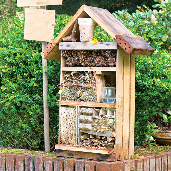 Making an insect hotel - Daphne's Diary