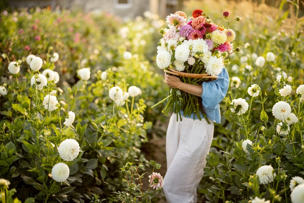 My Mom's Tips for Hay Fever - Daphne's Diary