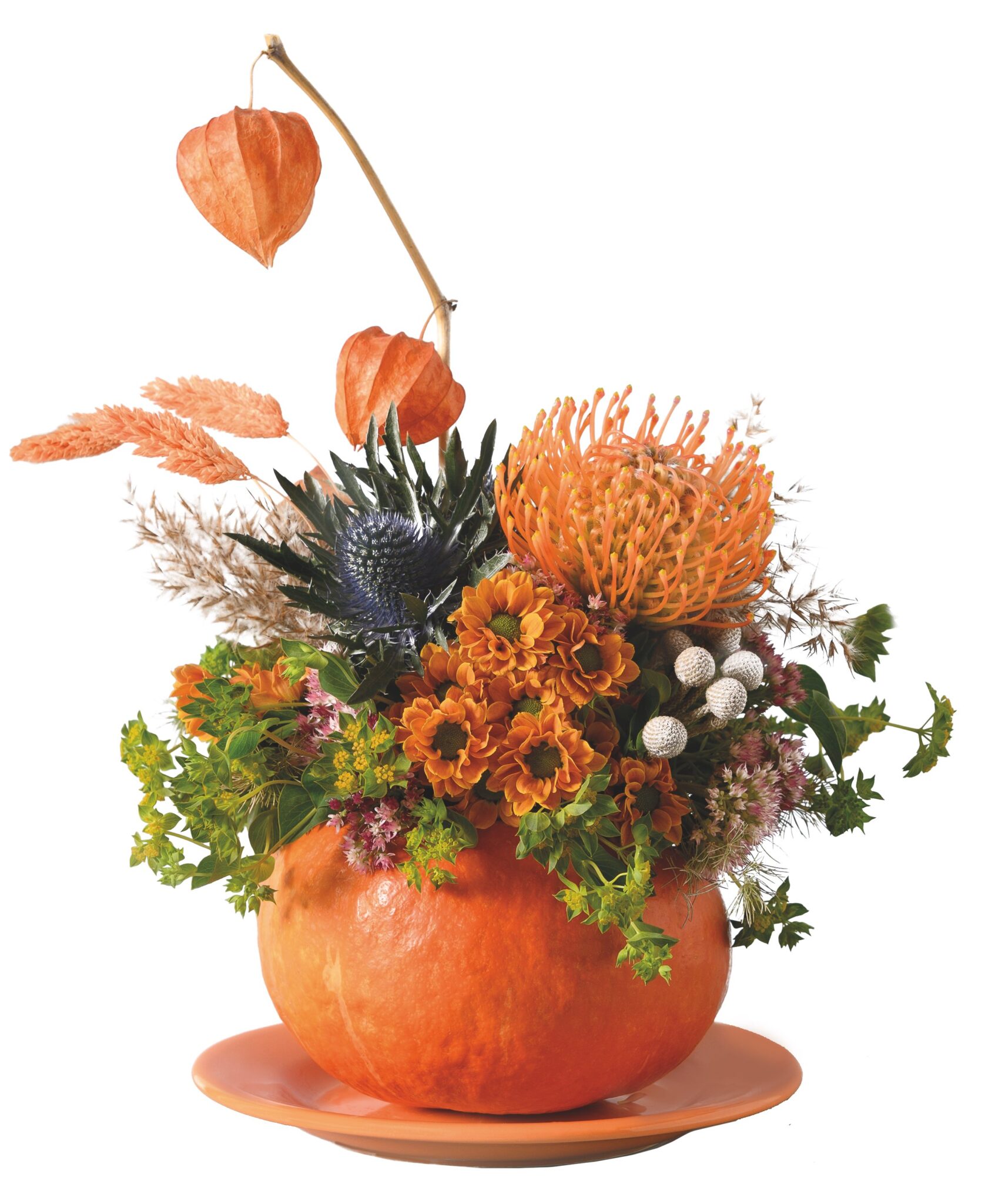 Daphne's Diary - Deutsch - Daphne's Diary